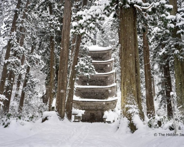 Winter Adventure in Shonai, Japan | .TR