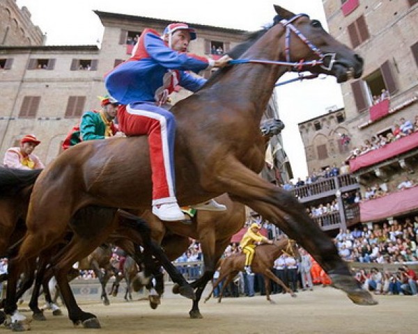 MEDIEVAL HORSE RACE ATTRACTS THOUSANDS | .TR