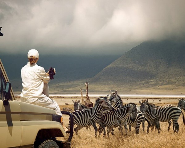 How to choose a safari tour in Tanzania | .TR