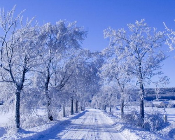The Coldest Capitals in the World Offer Winter Entertainment | .TR