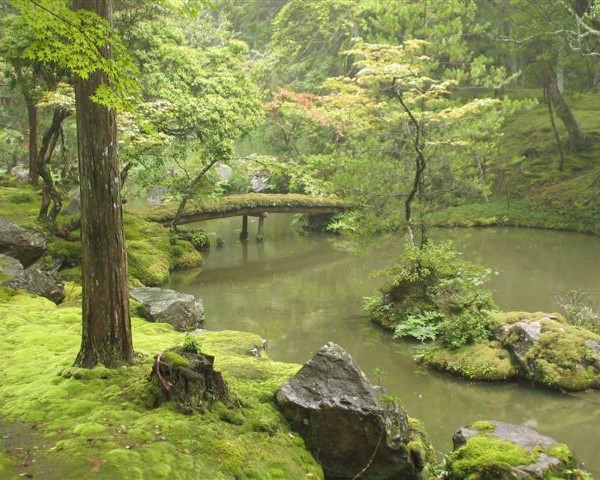 The Hidden Zen Paradise in Japan with Strict Regulations for Tourists | .TR