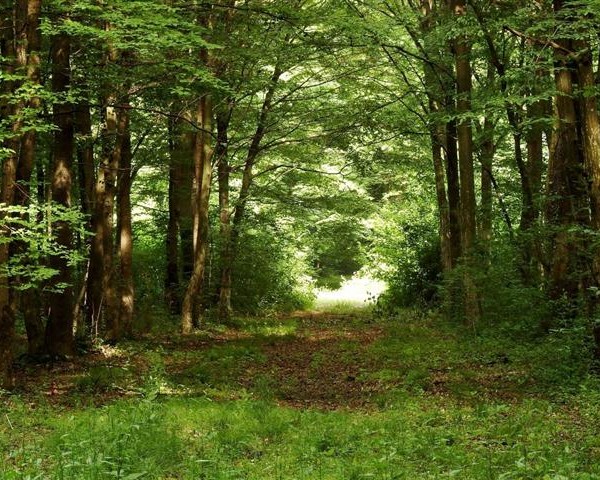 Southern Poland Attractive for Tourists | .TR