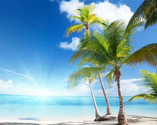 Wonders of Central America: Jungles, Temples, Volcanoes | .TR