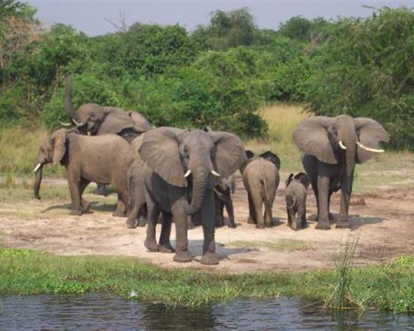 Uganda – Top Tourist Destination | .TR