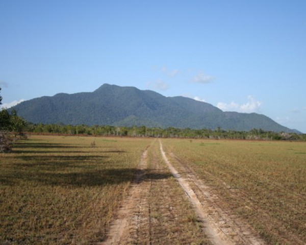 GUYANA: CRIMINALITY CAUSES PROBLEMS TO TOURISM | .TR