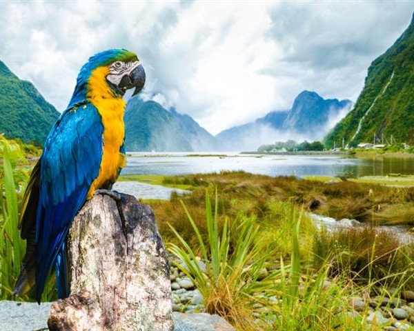 10 Outstanding National Parks in Brazil | .TR