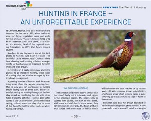 Hunting in France: Pheasants and Wild Boars | .TR
